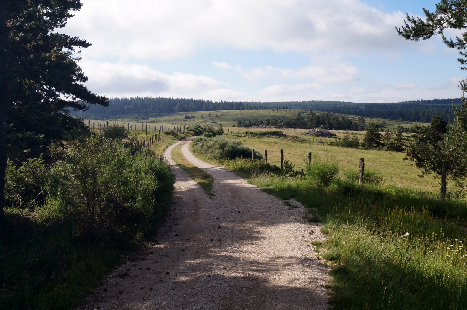 Les Randonneurs de la Fare: Sur la Via Agrippa