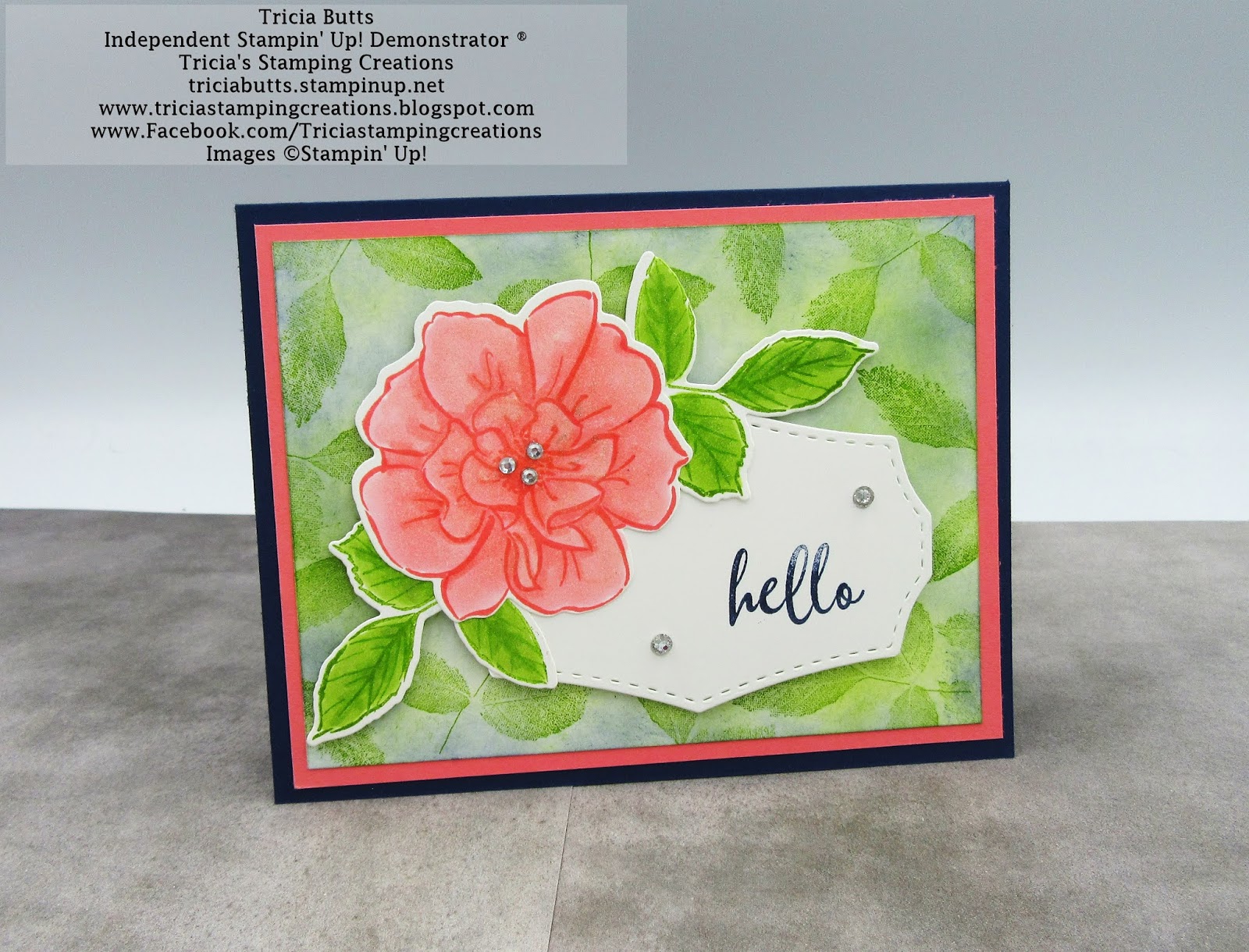 Tricia's Stamping Creations: Colour Combo September Blog Hop