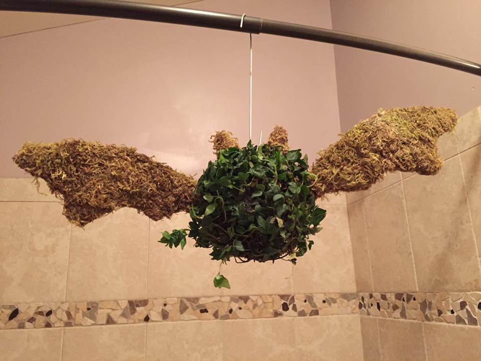 Goth Gardening ^o^: ...swooning over Pottery Barn Halloween topiaries...