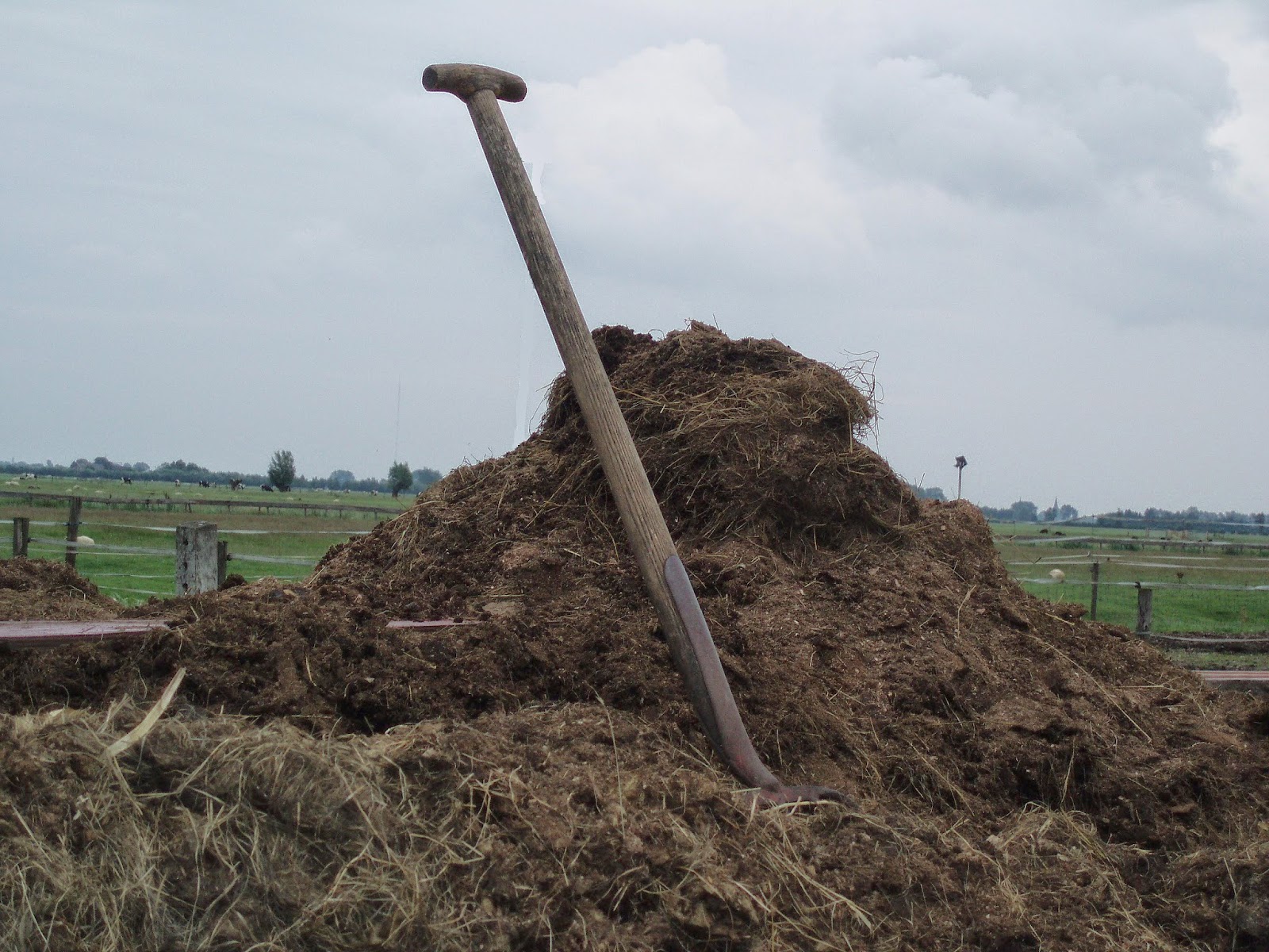 een beetje zoet, een beetje zuur: De mestput
