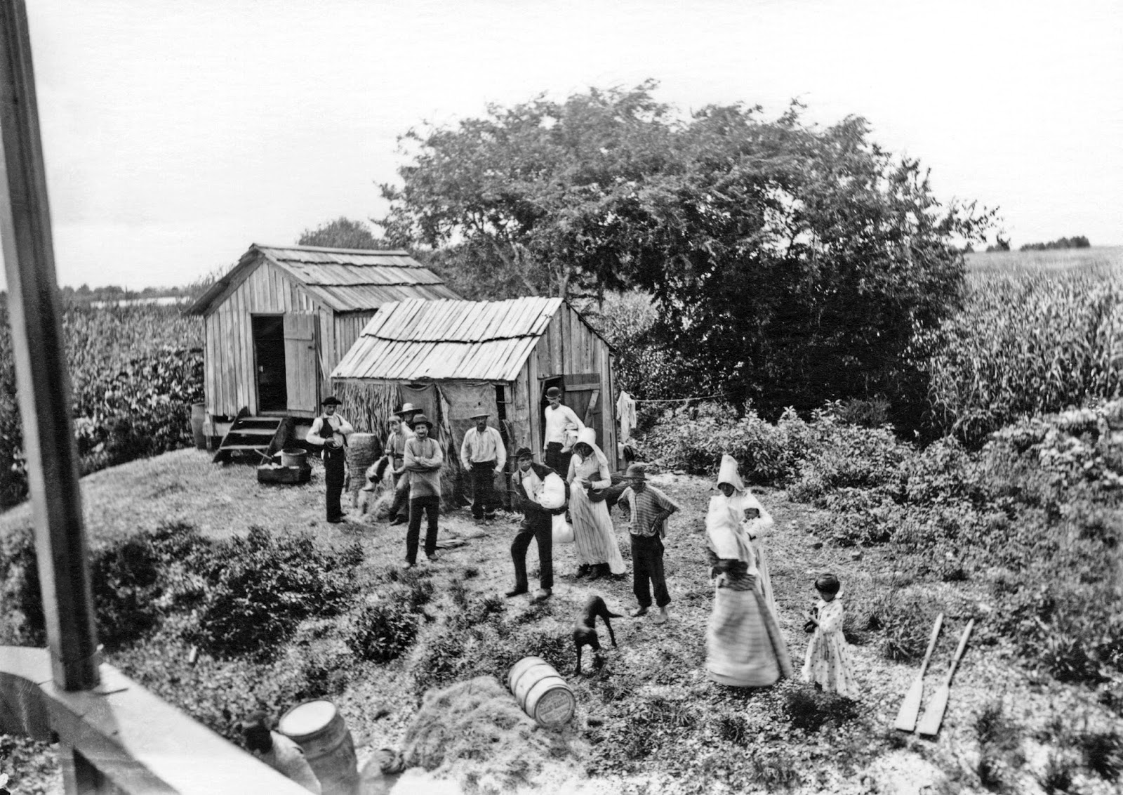 History in Photos: November 2016