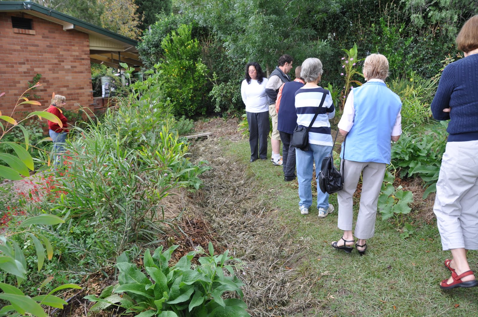 Temperate Climate Permaculture: Permaculture Projects: Swales