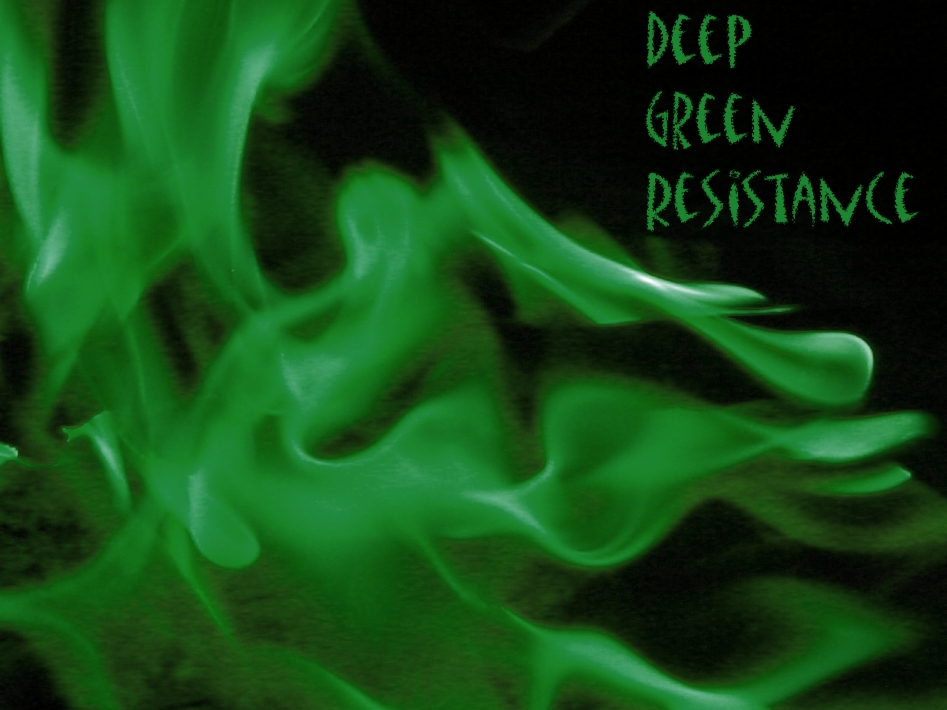 Sonoran Resistance: Quotes & Art