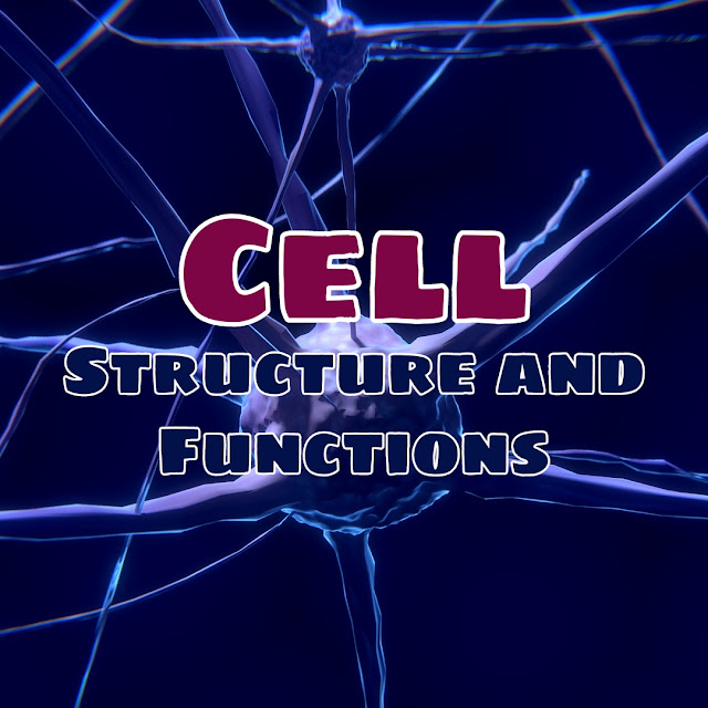 Cell : Structure and Functions | Class 8 | Science | C8