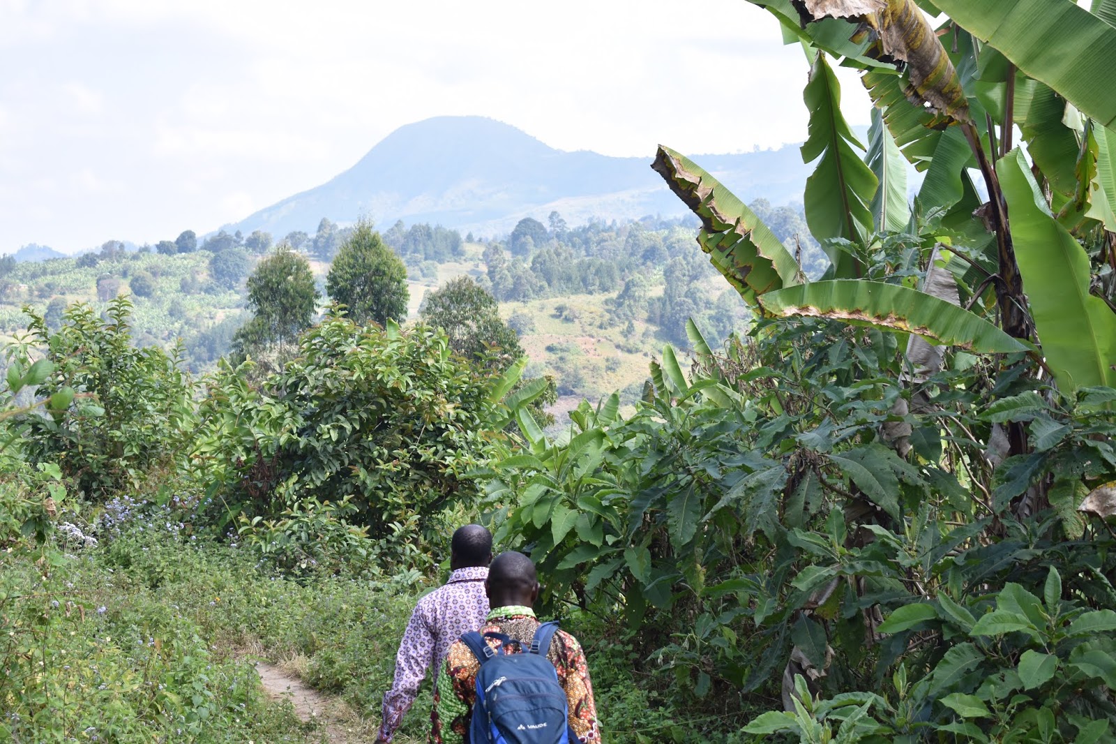 Mbigili - hin und zurück