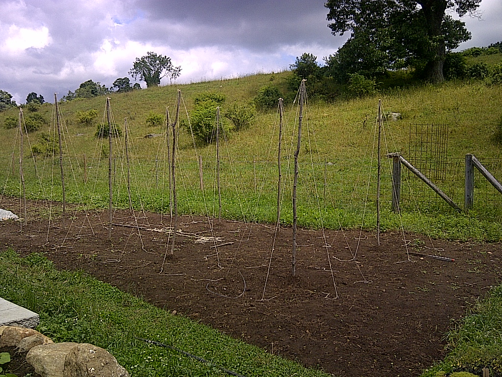 EcoHouse at Spring Valley Student Farm