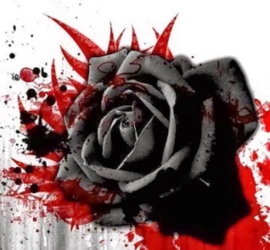 Ảnh hoa hồng đen