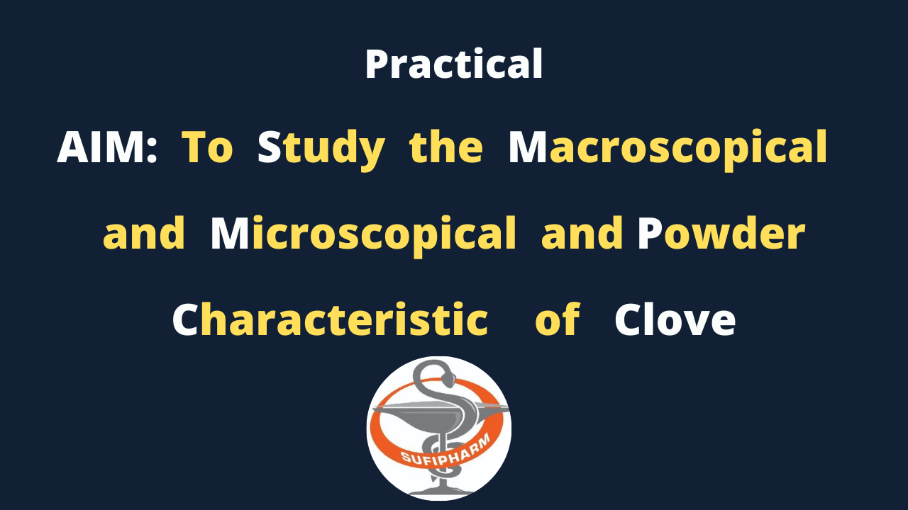 To Study the Macroscopical and Microscopical of Clove
