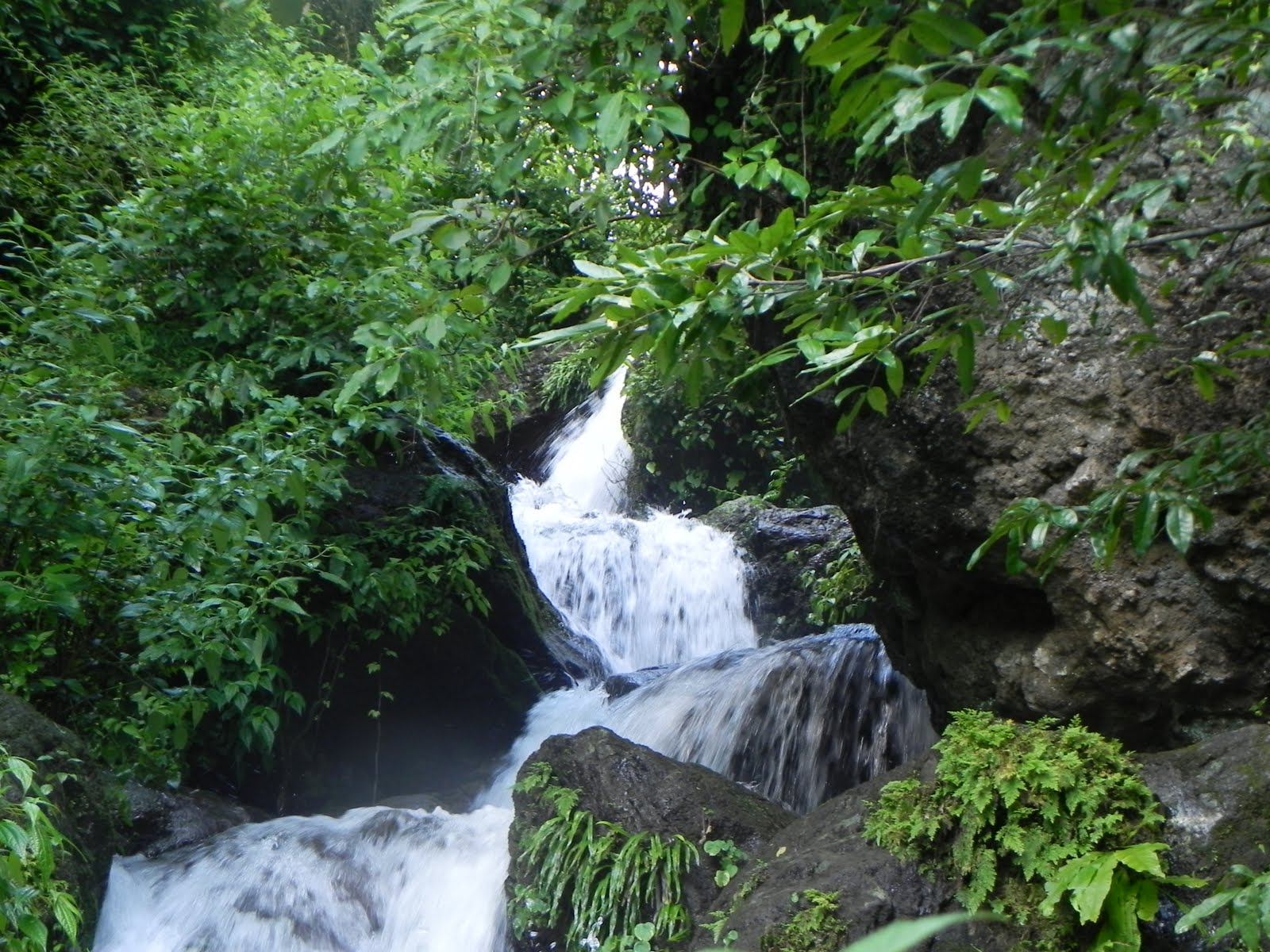 Urban Community Eco Tours: Pyuthan