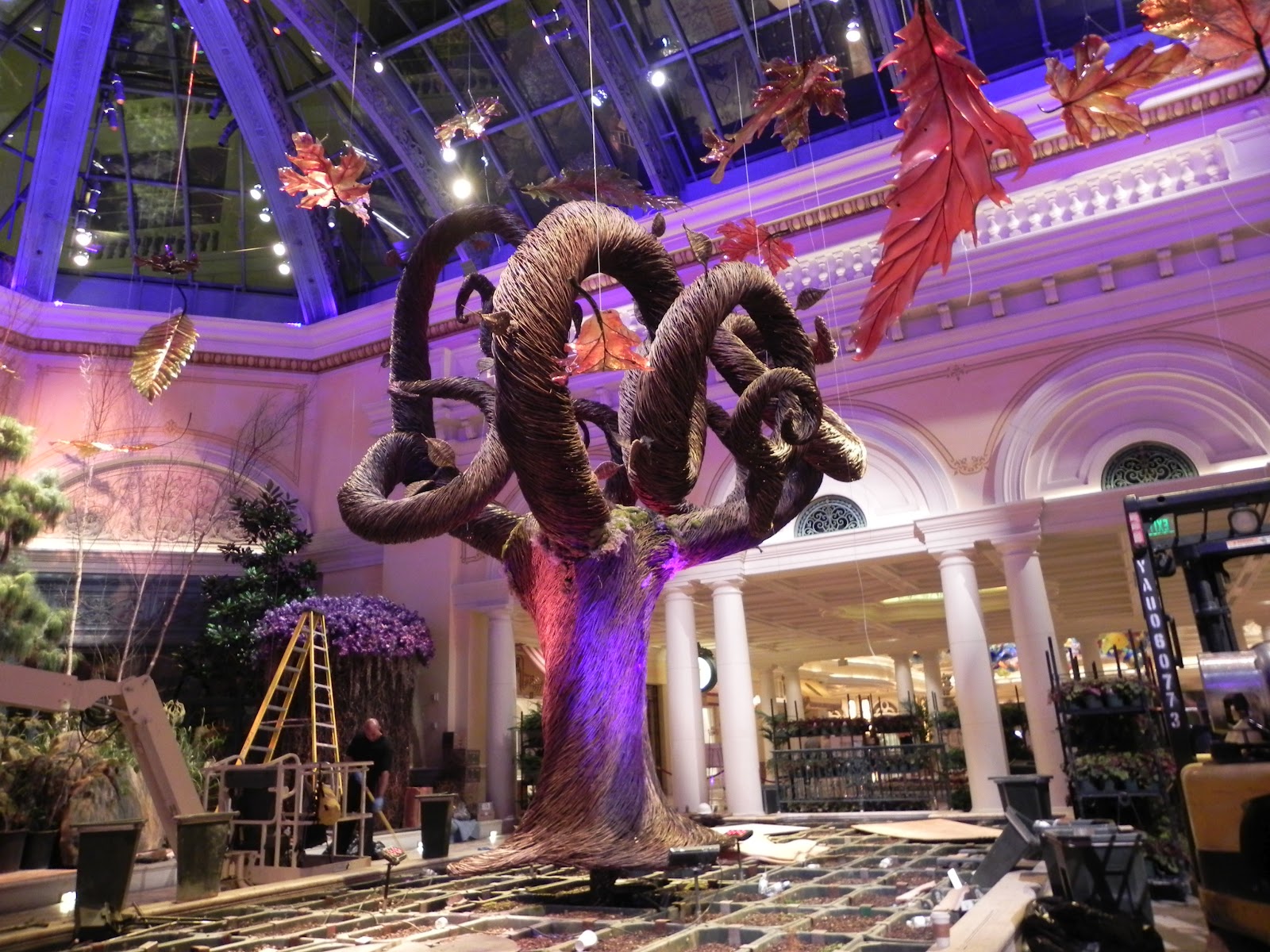 Tom Hare, Willow man: The Vegas Willow Fantasy Trees