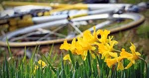 3 Things You Should Think About Every Time You Ride