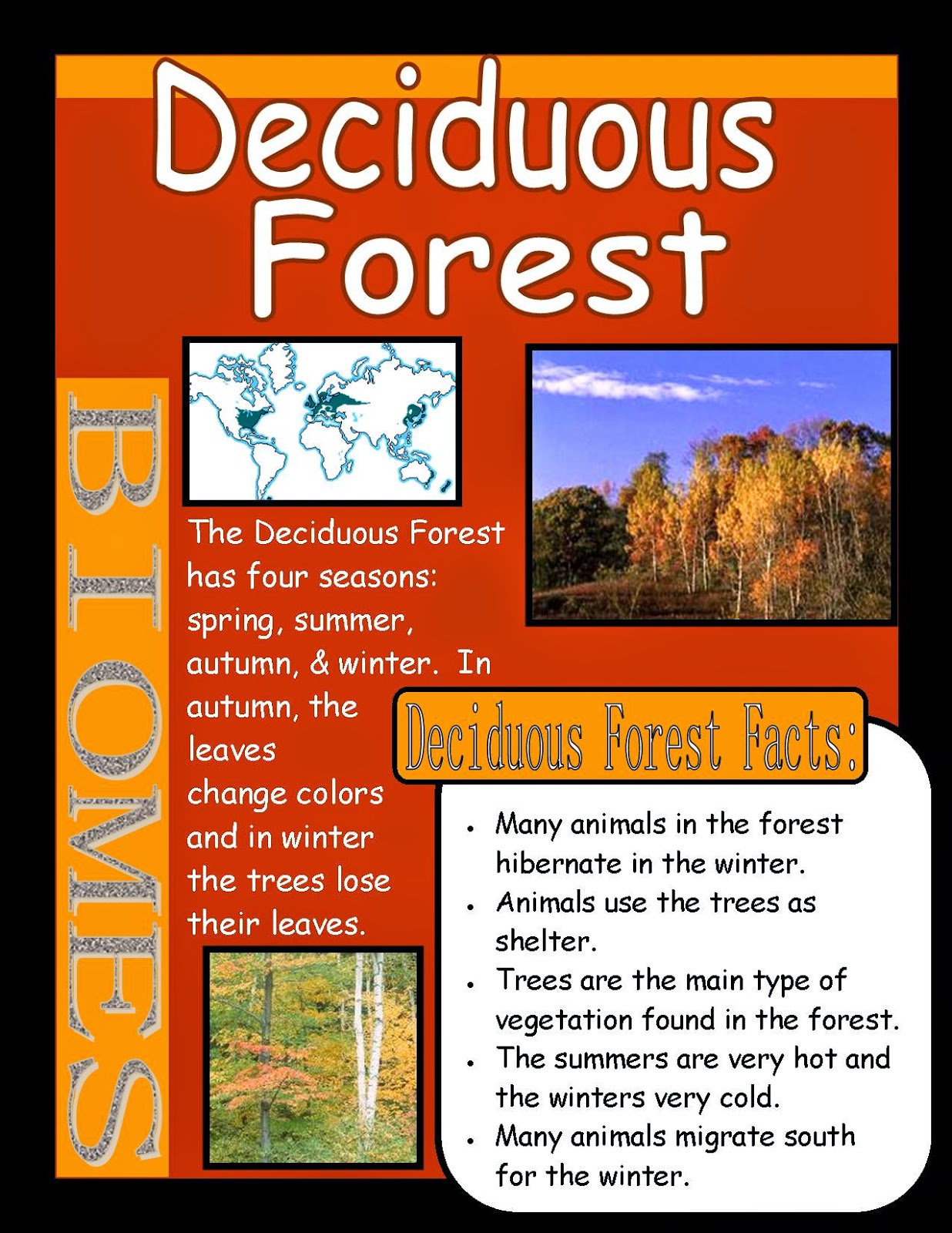 Once Upon a Creative Classroom: Book Adventure and a Friday Flash FREEBIE!