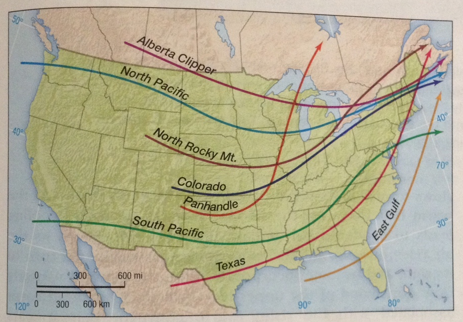 Snowbands & Why They Love Long Island | SoMAS