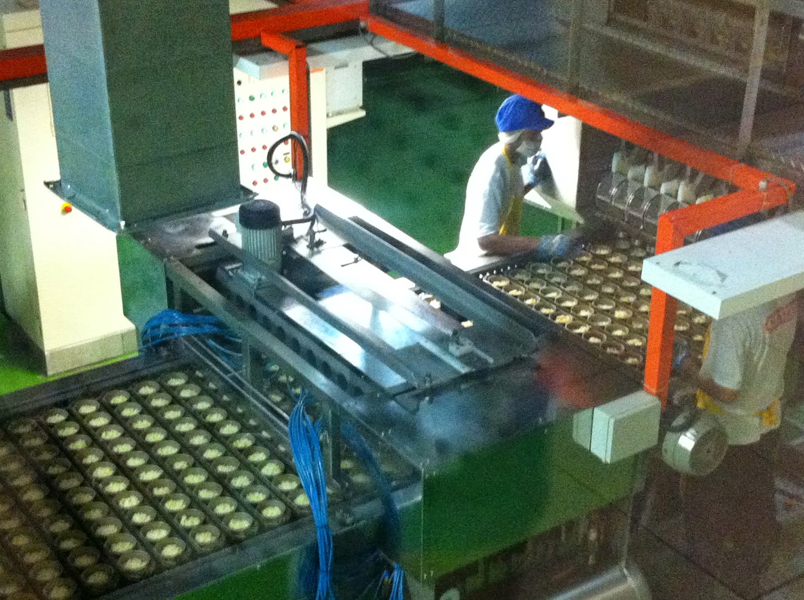 Shannie: Mamee Chef - Malacca Factory Visit