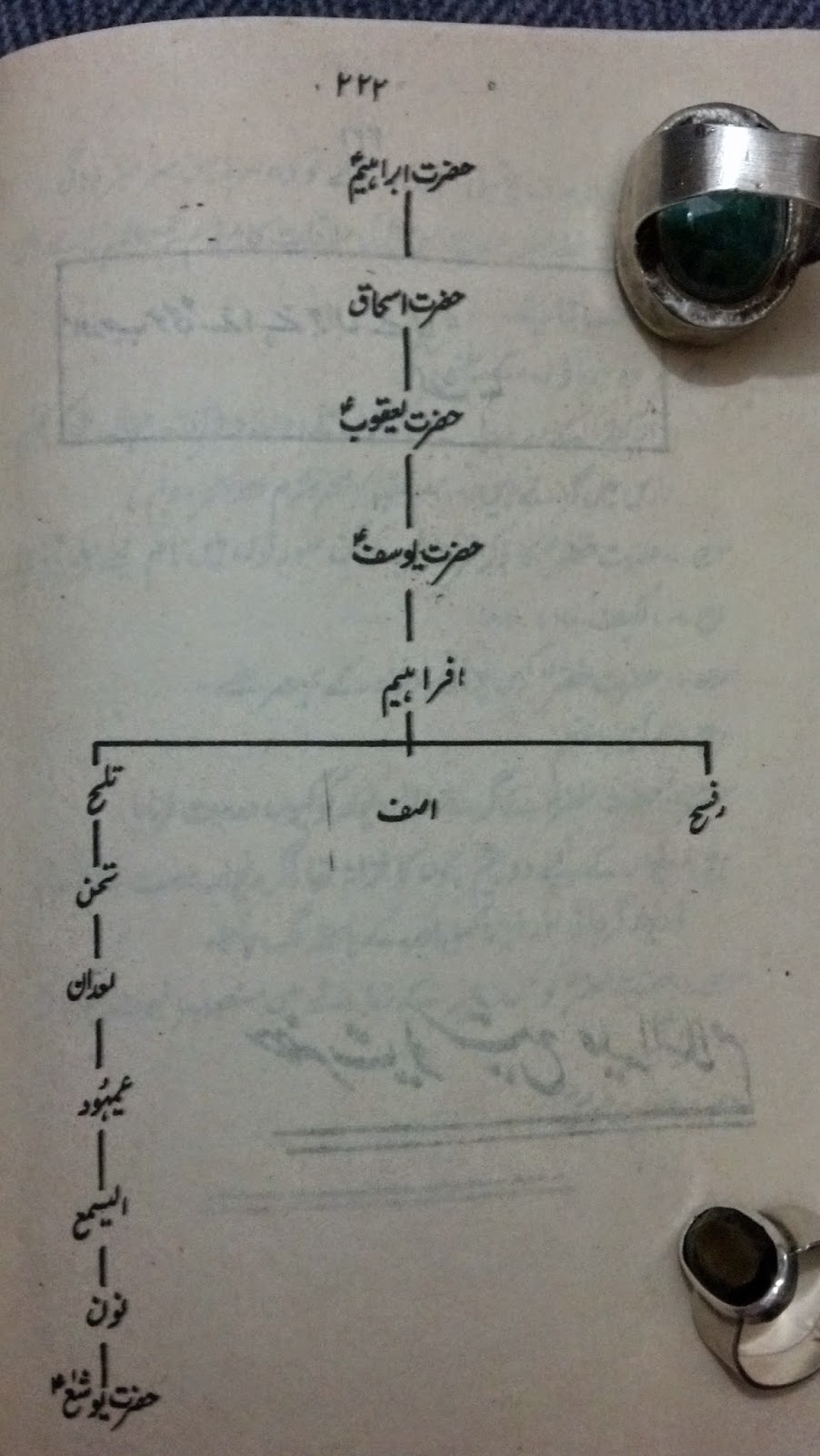 Anbiya KAram ka Ansaab Sajra