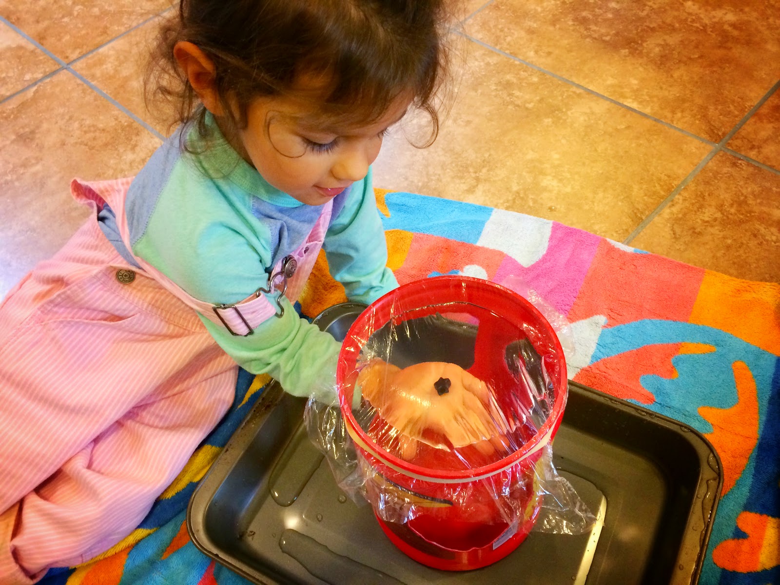 Our Beautifully Messy House : Water Lens