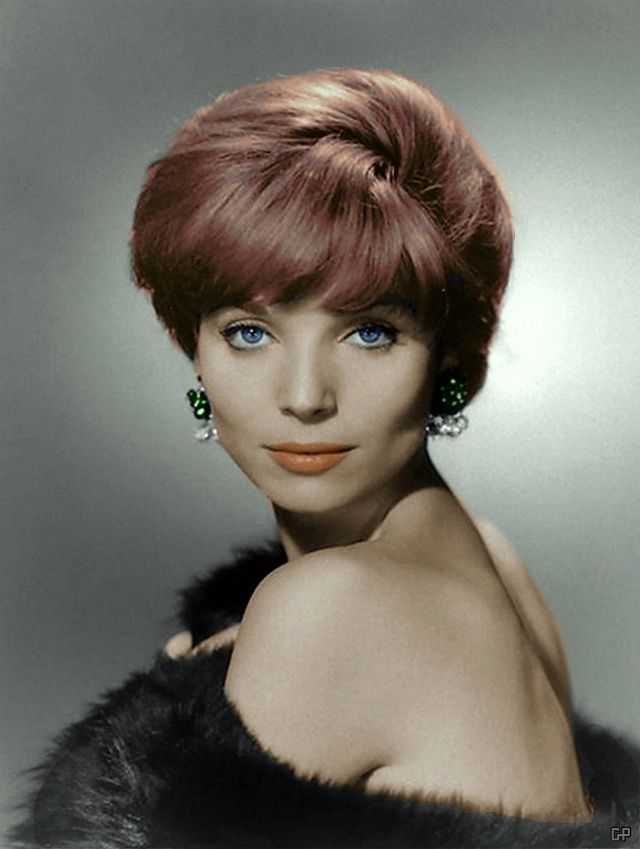 Italian Classic Beauty: 50 Glamorous Photos of Elsa Martinelli in the ...