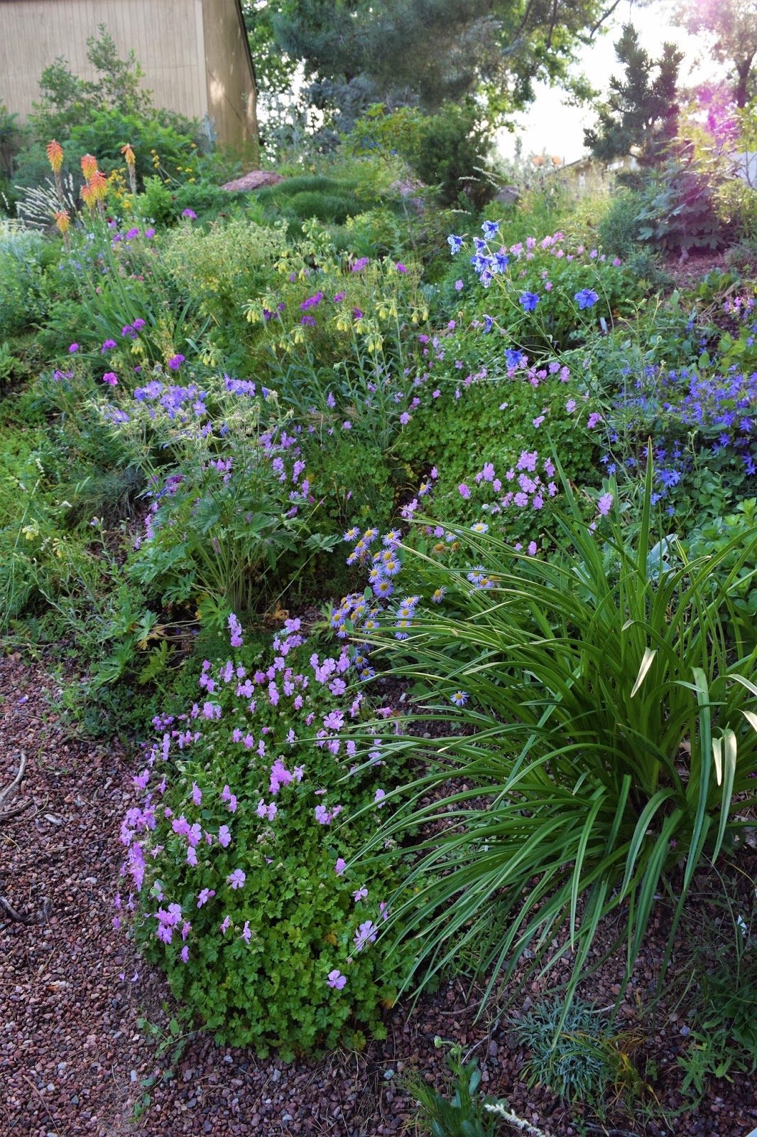 Prairiebreak: Part two: Plant Pageant, Quince Garden plants from 2015 ...