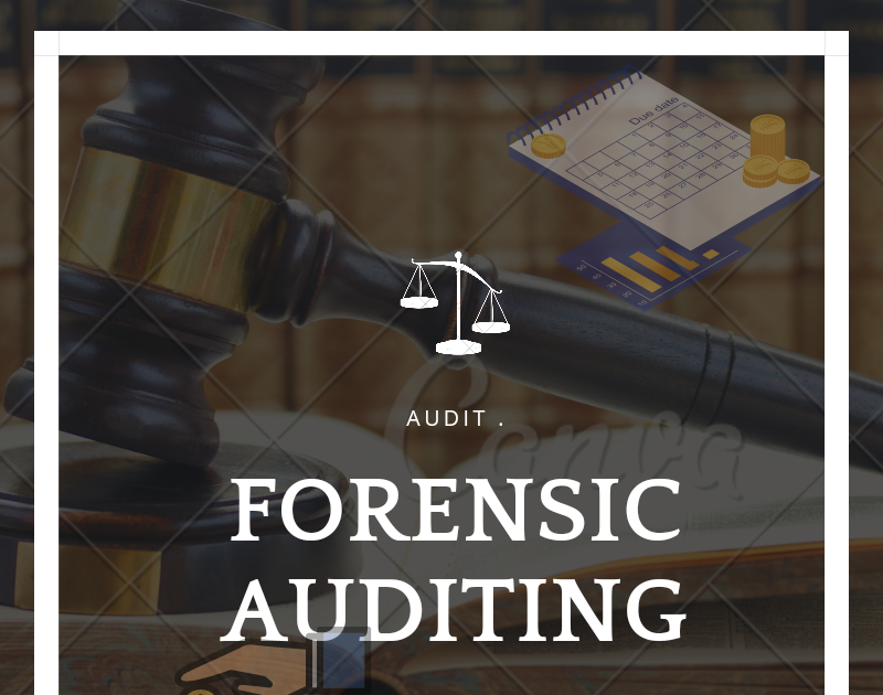 Forensic Audit forensic-audit