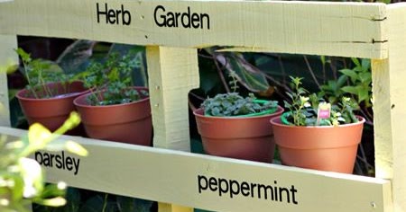 DIY Gardening Tips ~ Gardening Stuff