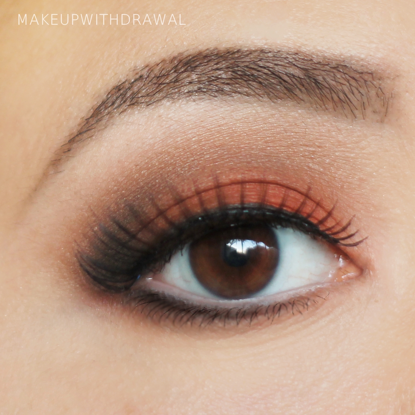 Mehron iNtense Pressed Powder Pigments Earth Palette: Review, Swatches ...