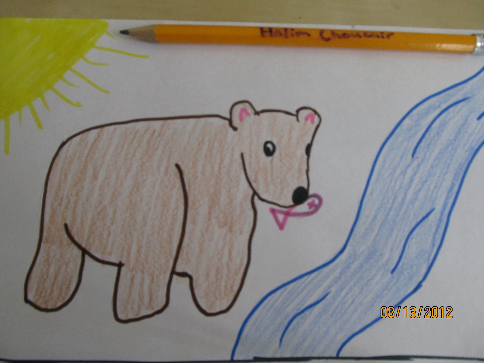 AP Bio Assignment: Biological Collection: Heterotroph