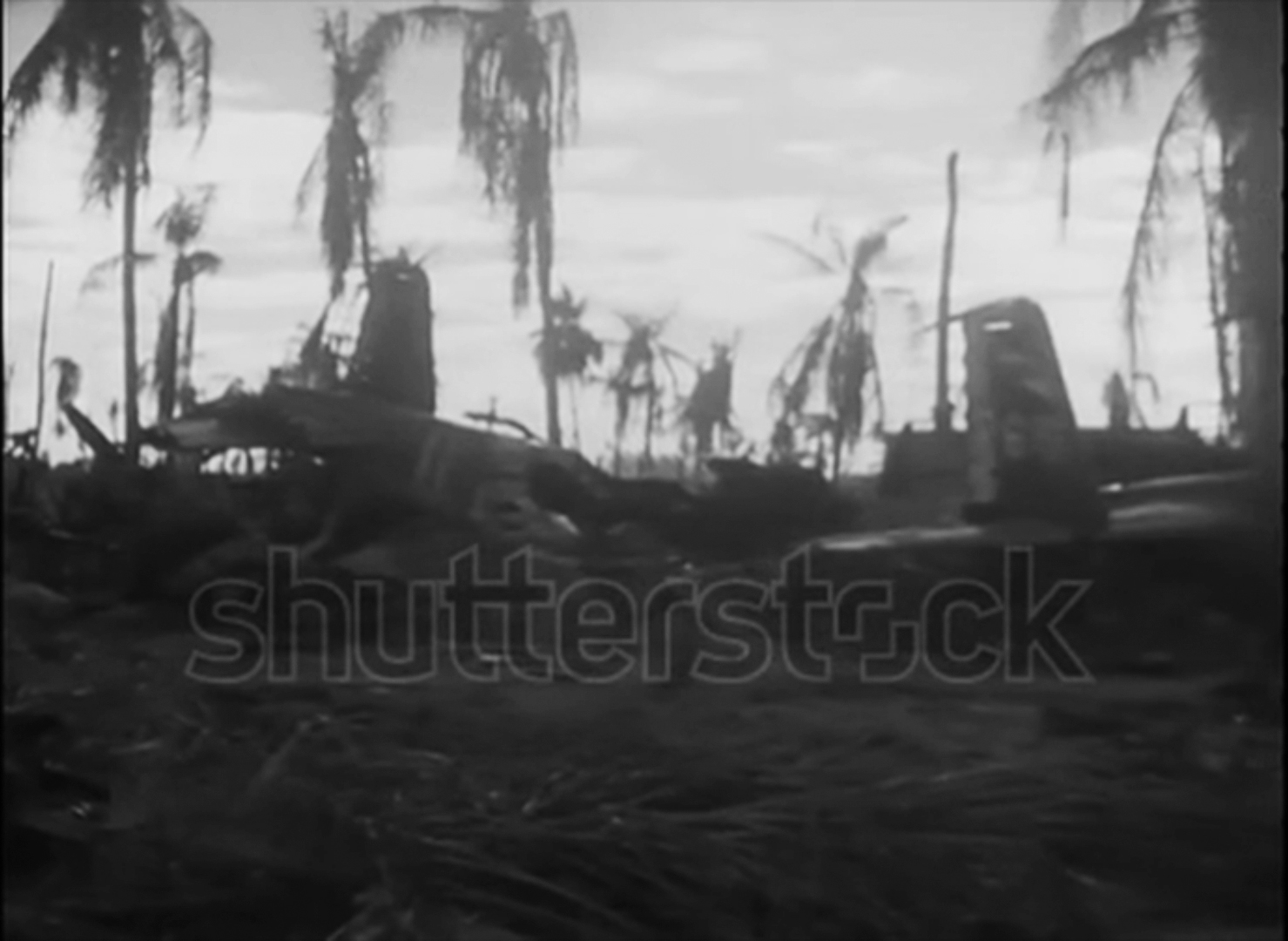 WildEagles: IJAAF & IJNAF wrecked aircraft #40 - Tarawa