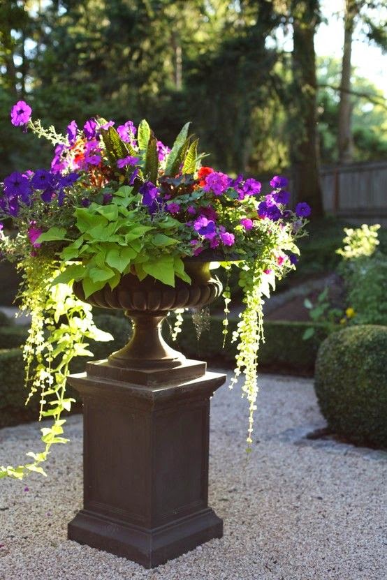 My Enchanting Cottage Garden: Container Gardens