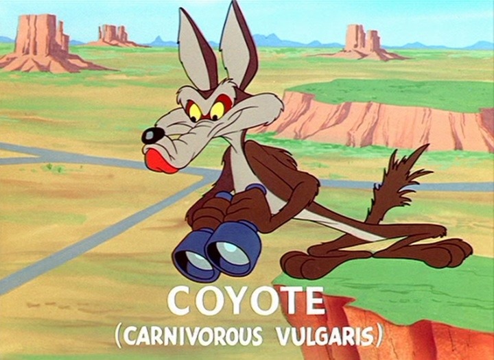 FERNANDO LLERA 'TOONS: BEEP BEEP THE ROAD RUNNER