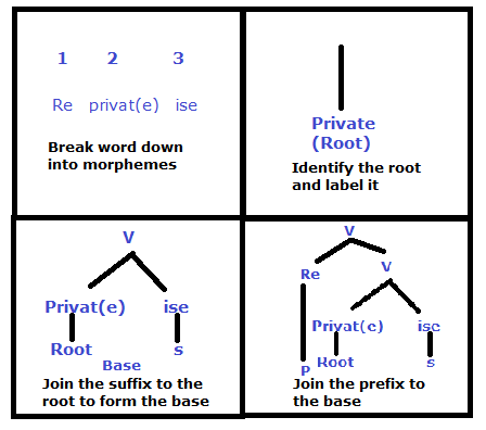 WHITE WORLD: Morphology