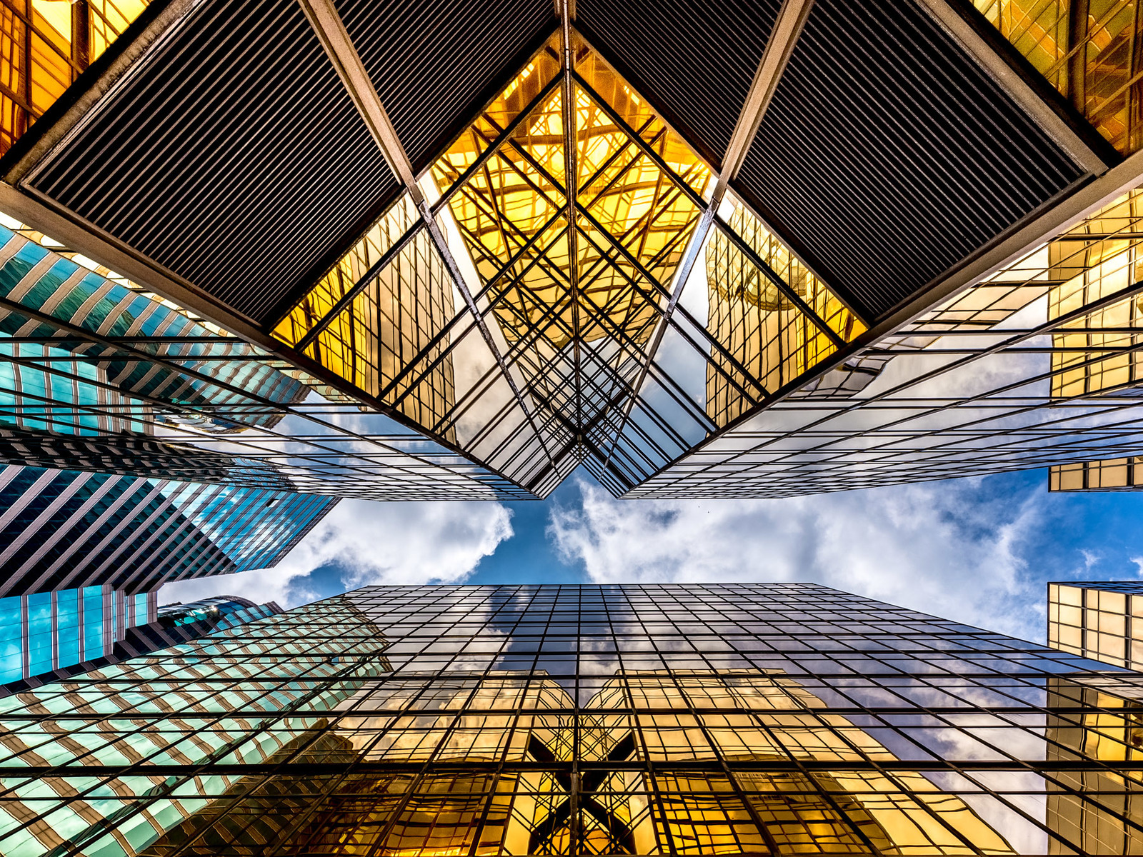 Miscelánea: Fotógrafo Mike Hollman