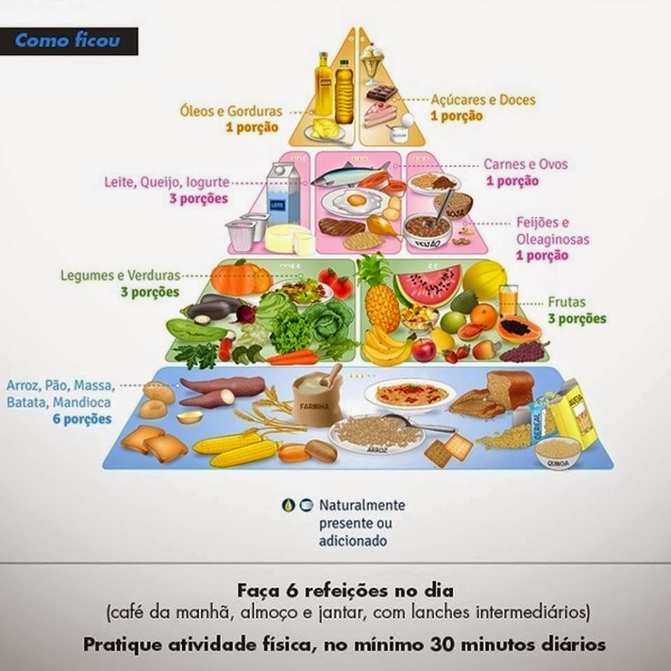 Revisão sobre alimentos e nutrientes | André Macedo Nutricionista
