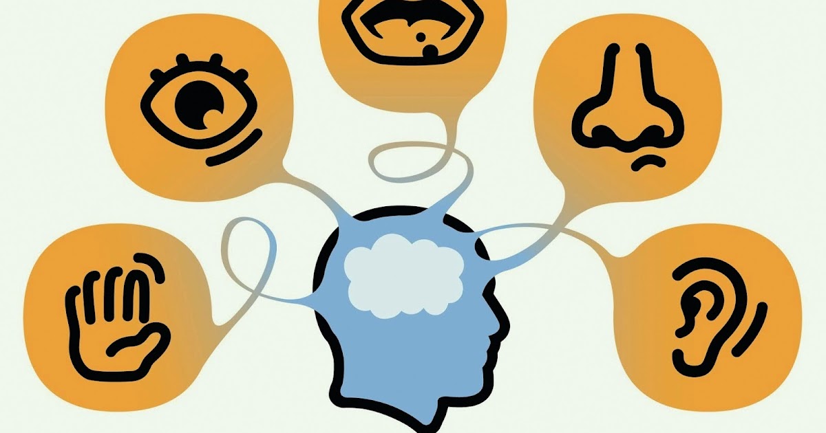 ¿Sentimos o Percibimos?