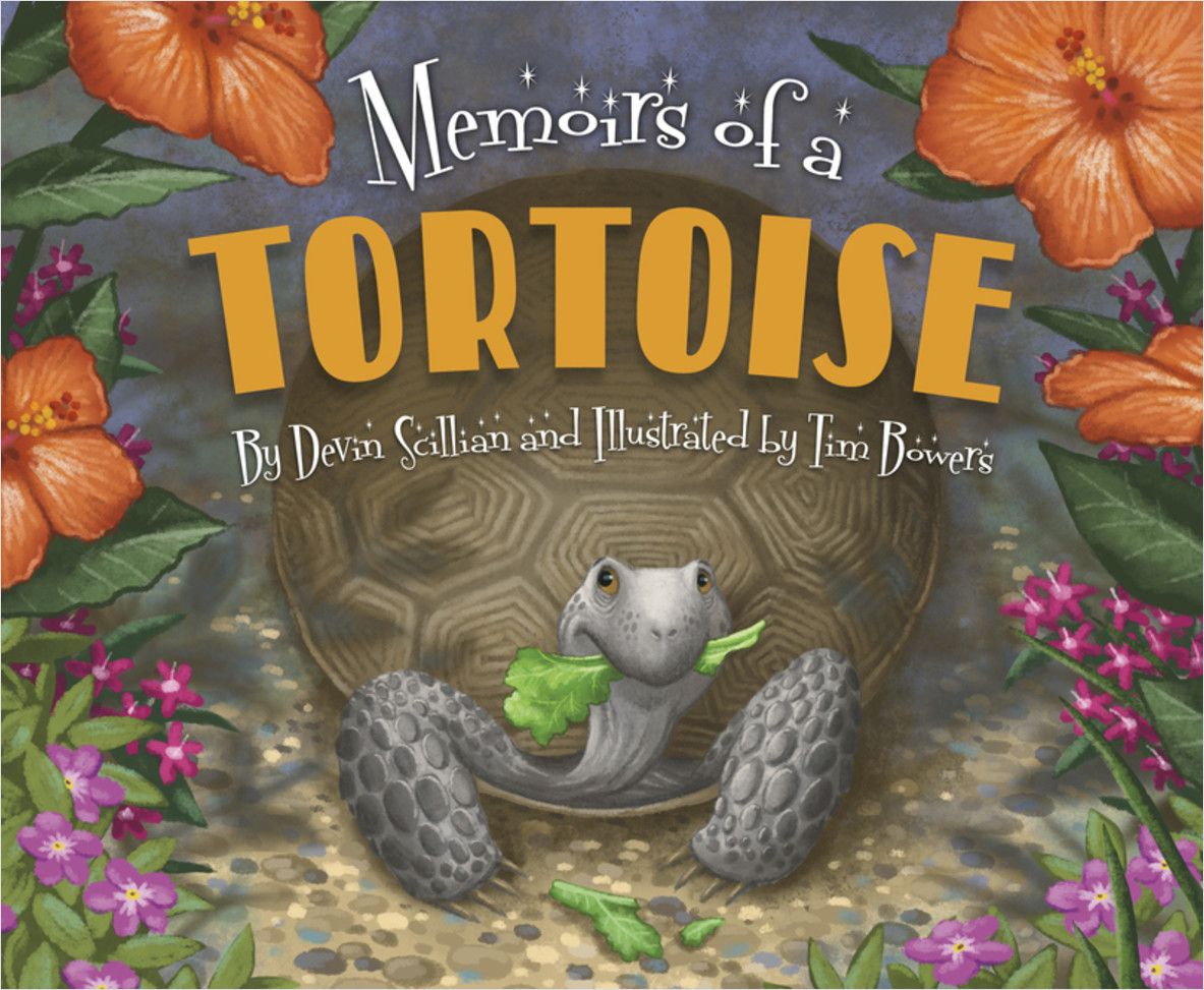 Carol Baldwin's Blog: Memoirs of a Tortoise: Picture Book Review and ...