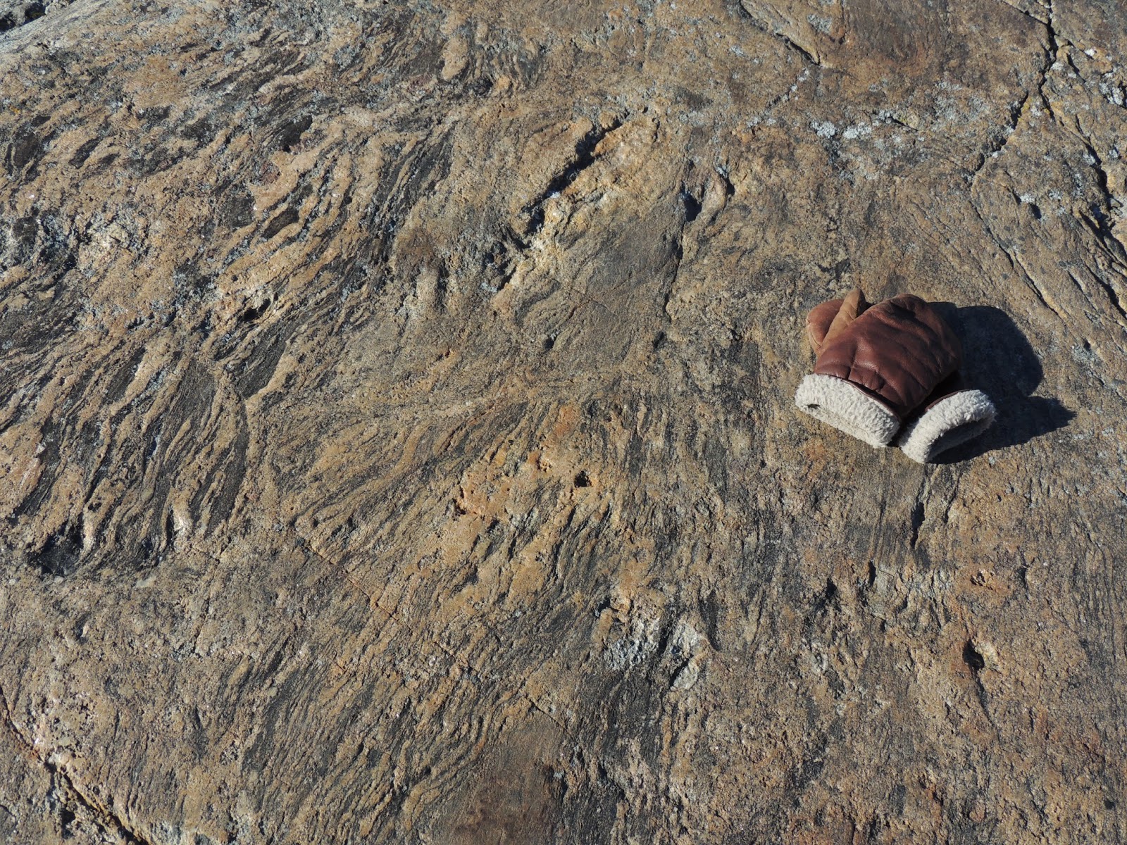 Gröna anemone: Stenar och is vid Replot-bron