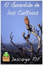 Vida en ebullición: Cómo grabar el canto de las aves