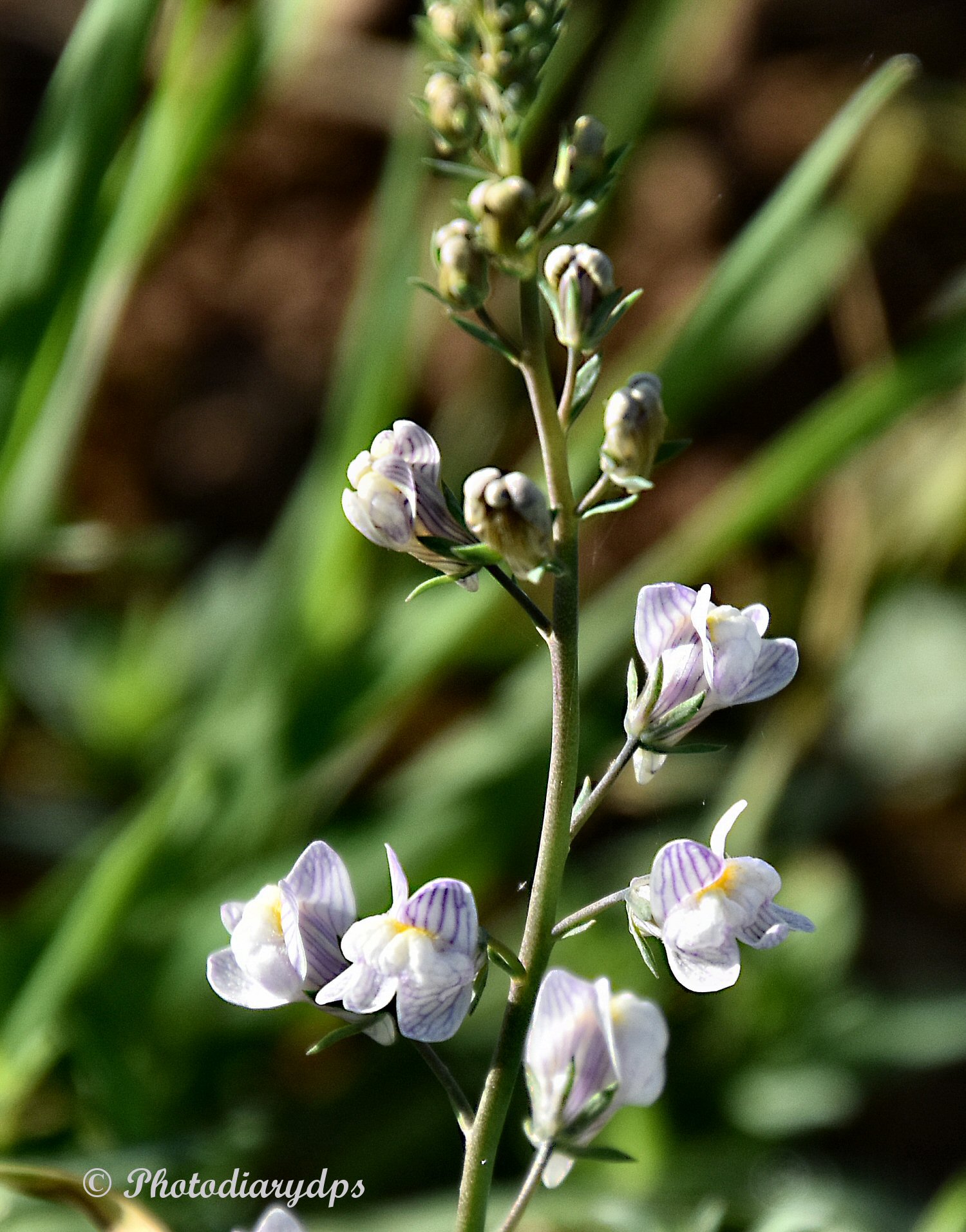 PhotoDiary: 13/11/2020 Friday 13th!!! Part 2 of my walk