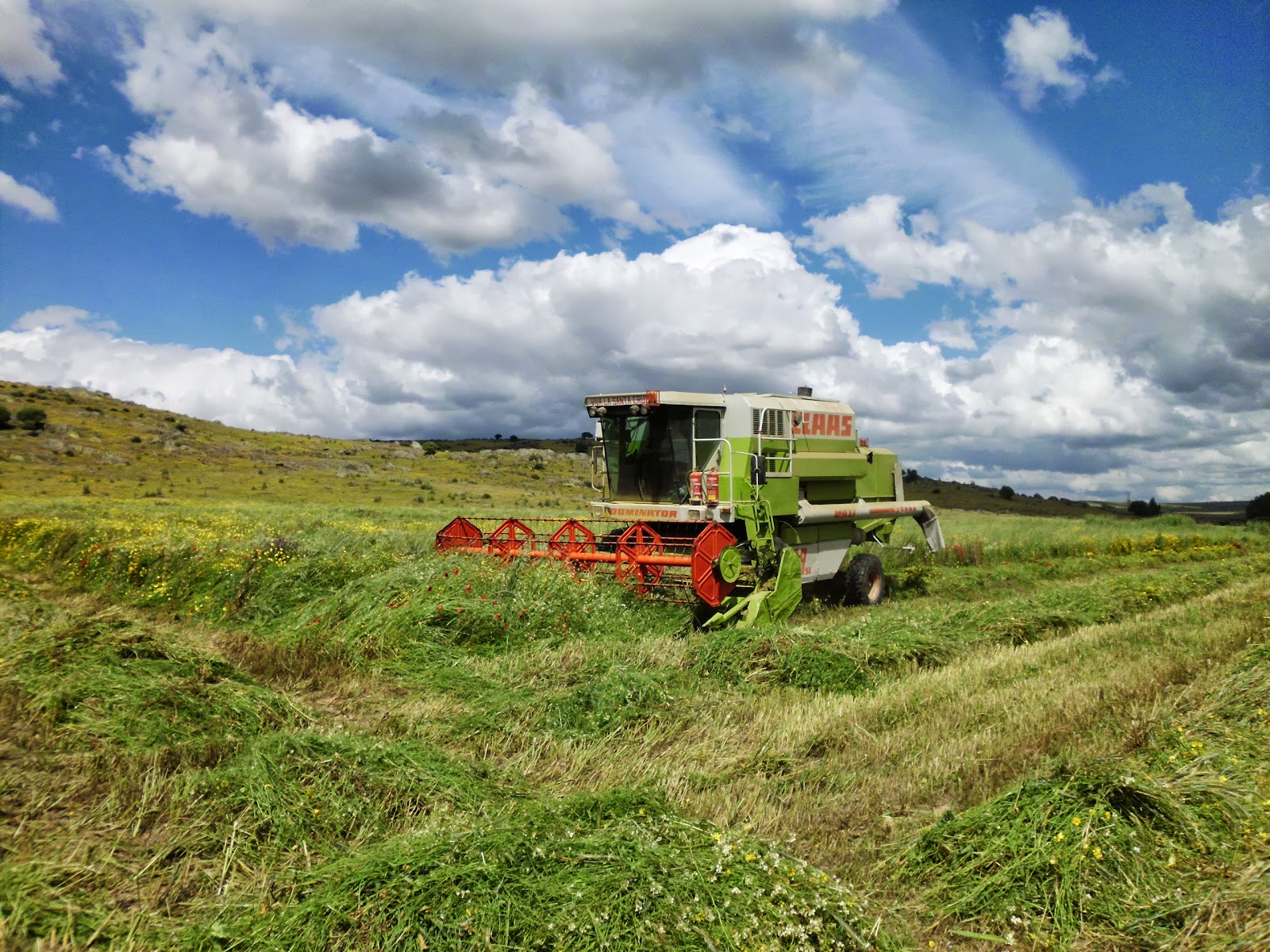 Dominator for all purposes: Mowing jobs