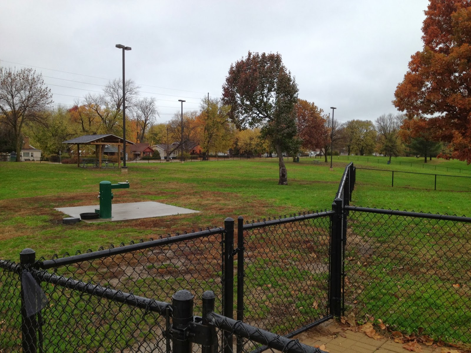 Nelson Park Fall 2013