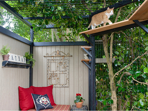 Melissa's Mochas, Mysteries and Meows: Life Is Purrfect In A Catio ...