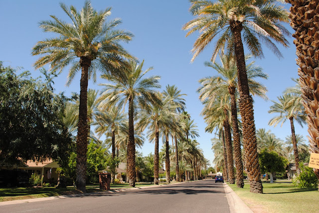 Neighborhood Garden Party: Black Sphinx Dates, A Community Treasure!