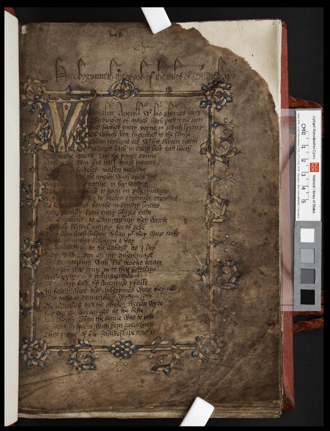 Medieval Codes : Remote Reading