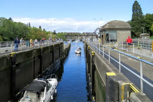 3 of the Best Itineraries to do Seattle in a Day | Sidewalk Safari ...