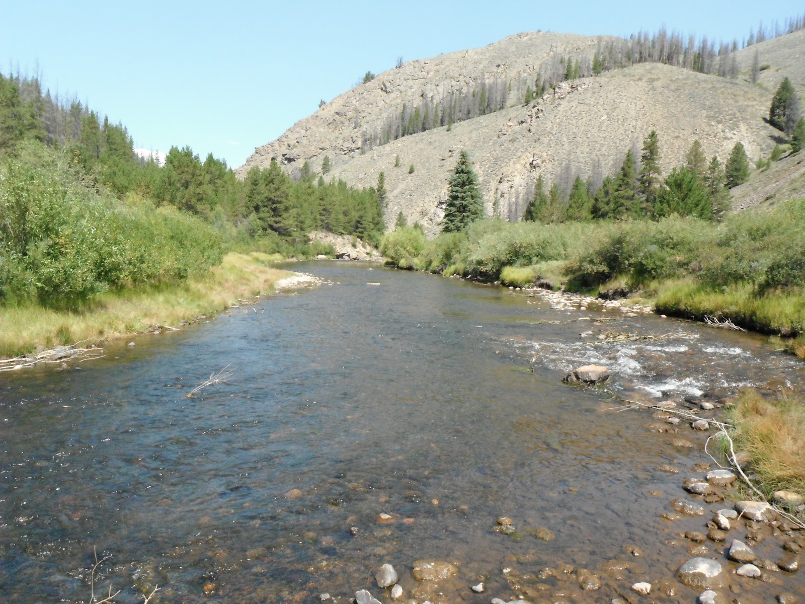Sticky Ferrule: Upper Colorado and the Fraser River