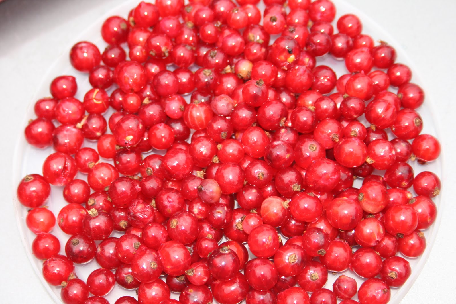 Life at Periwinkle: Red fruit