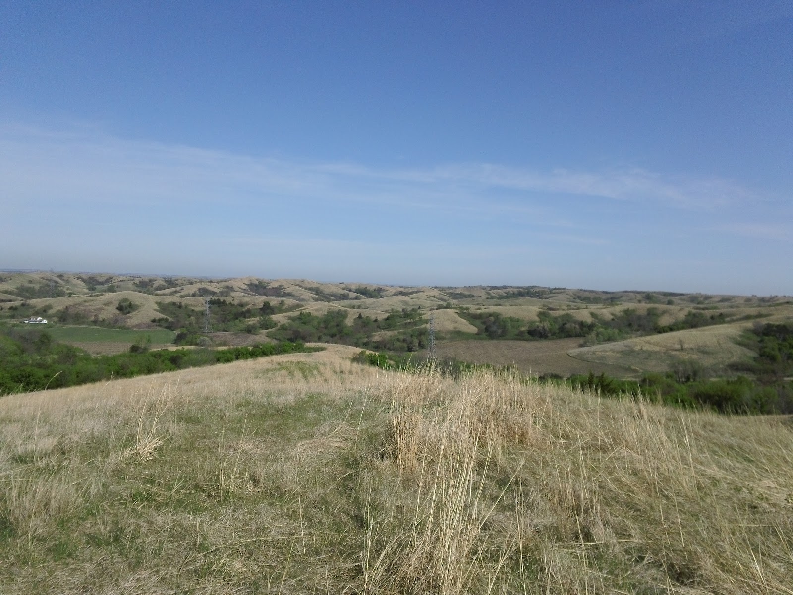 Virtual Prairie Field Trip Blog: What is a Prairie?