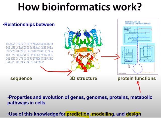 [Shomu's Biology] Bioinformatics part 1 What is Bioinformatics