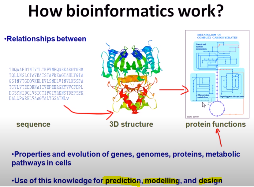 [Shomu's Biology] Bioinformatics part 1 What is Bioinformatics
