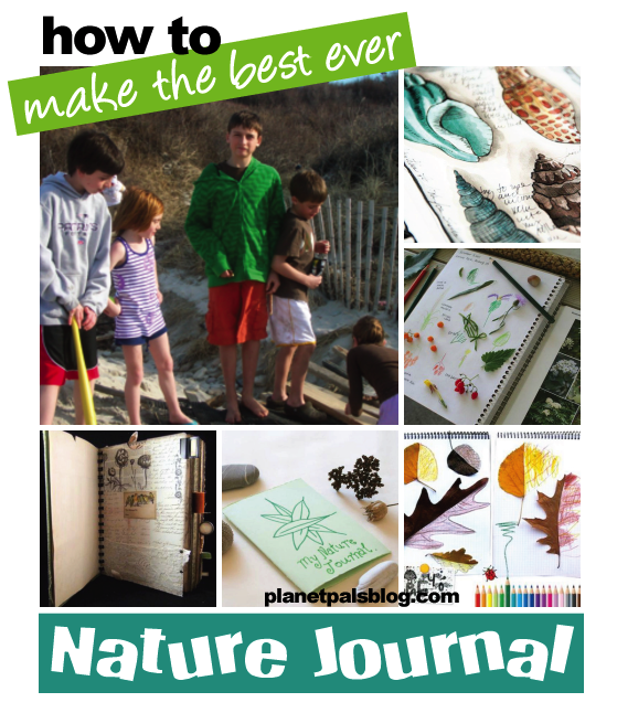Nature Journals can be a great learning experience all year long ...