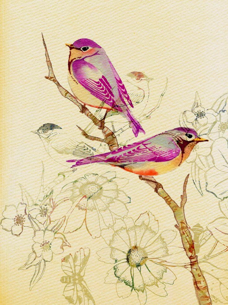 Imprimolandia: Láminas de pájaros (2)